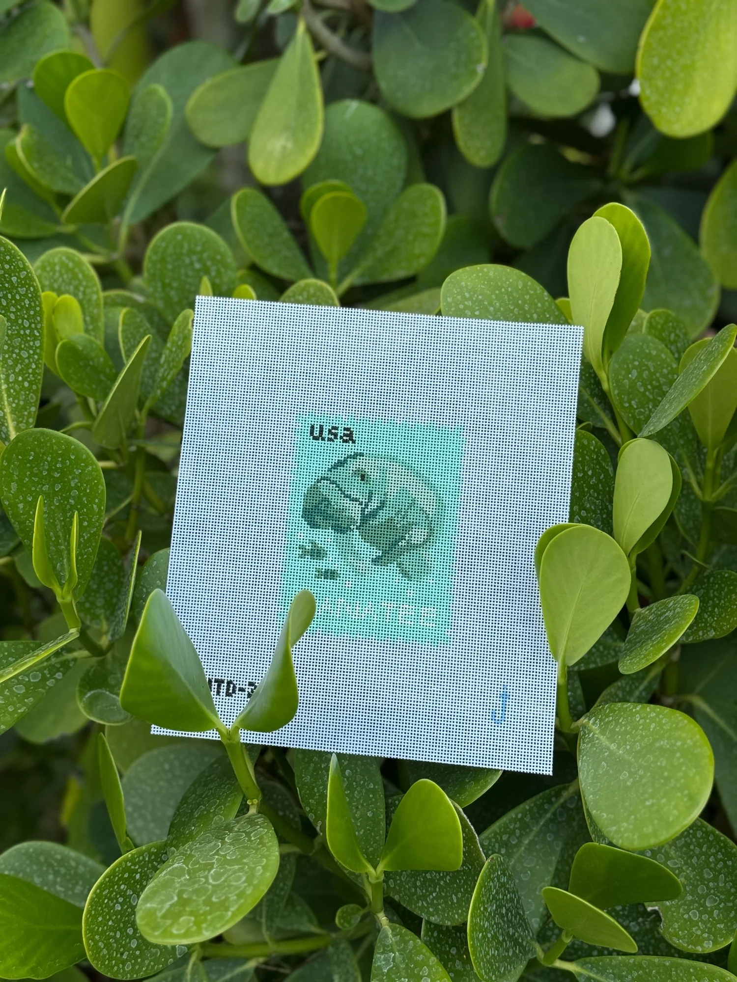 Manatee Stamp – The Flying Needles